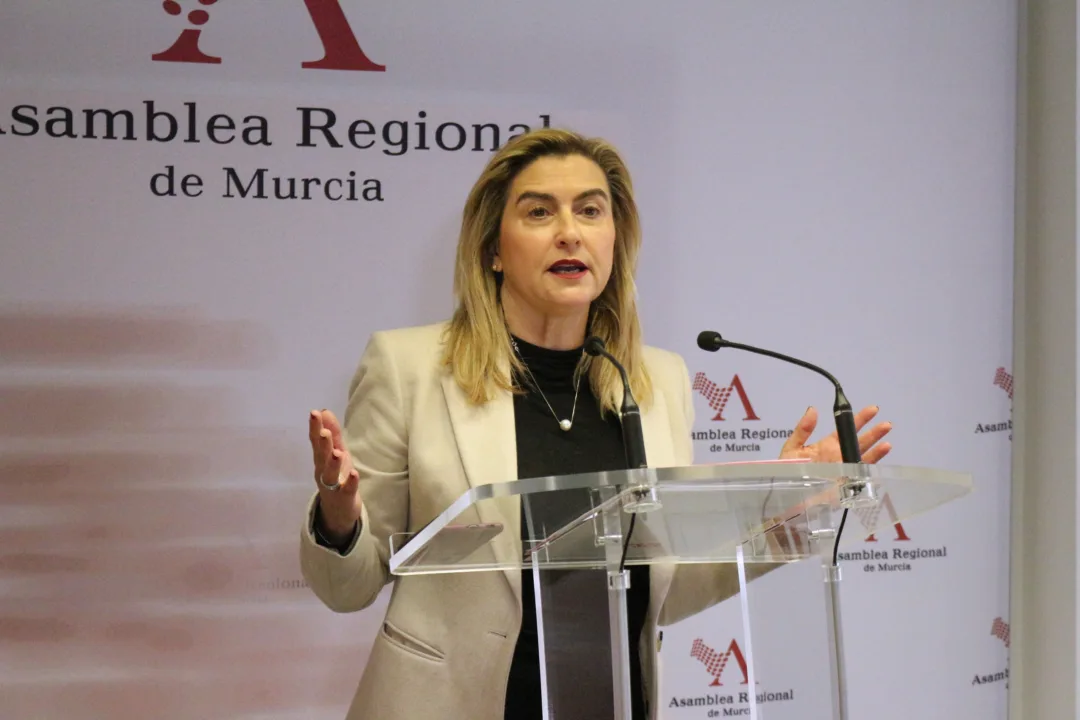 Carmina Fernández critica la parálisis de la comisión sobre ...